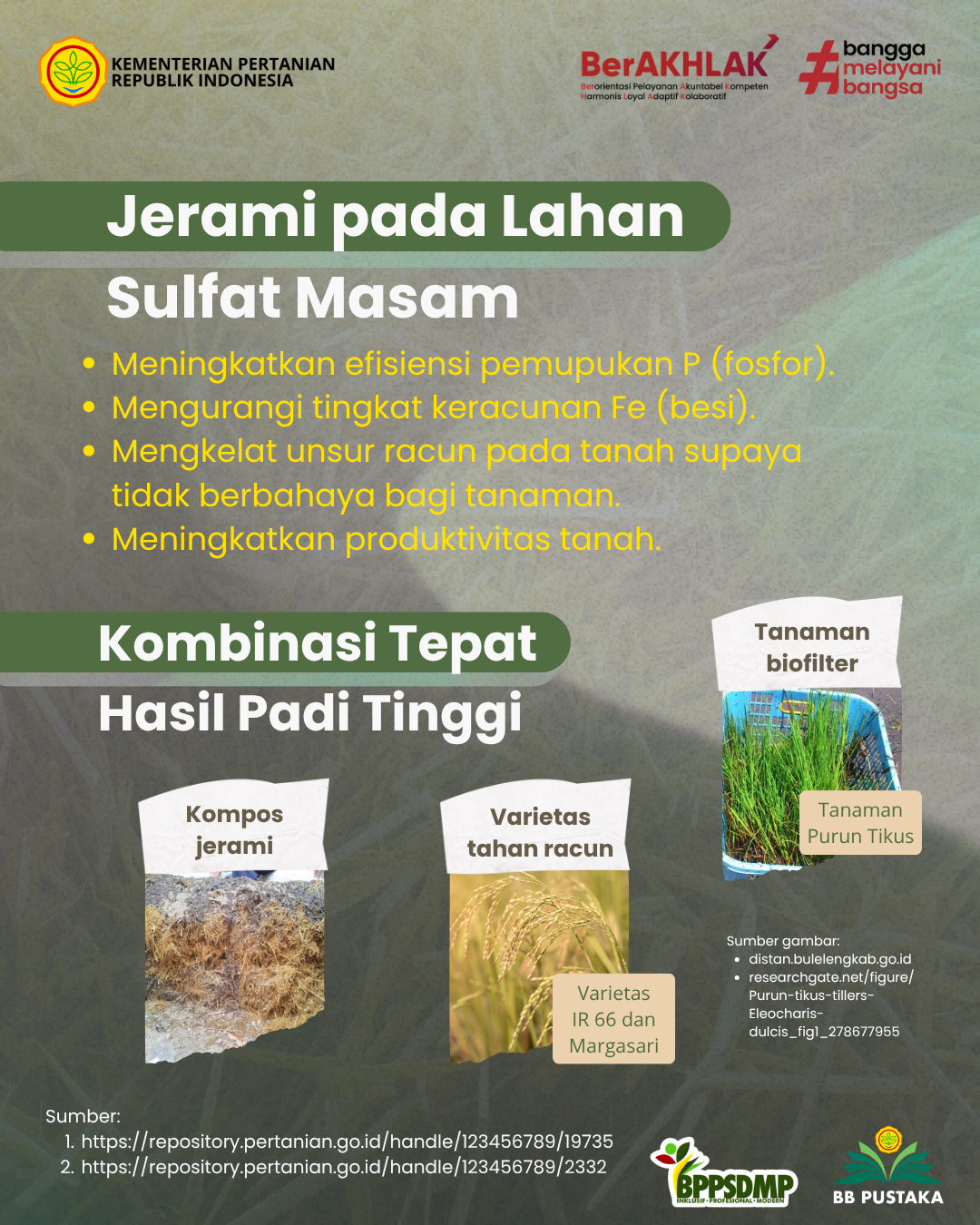 Info Literasi: Jerami: Kunci Kesuburan yang Sering Diabaikan Petani