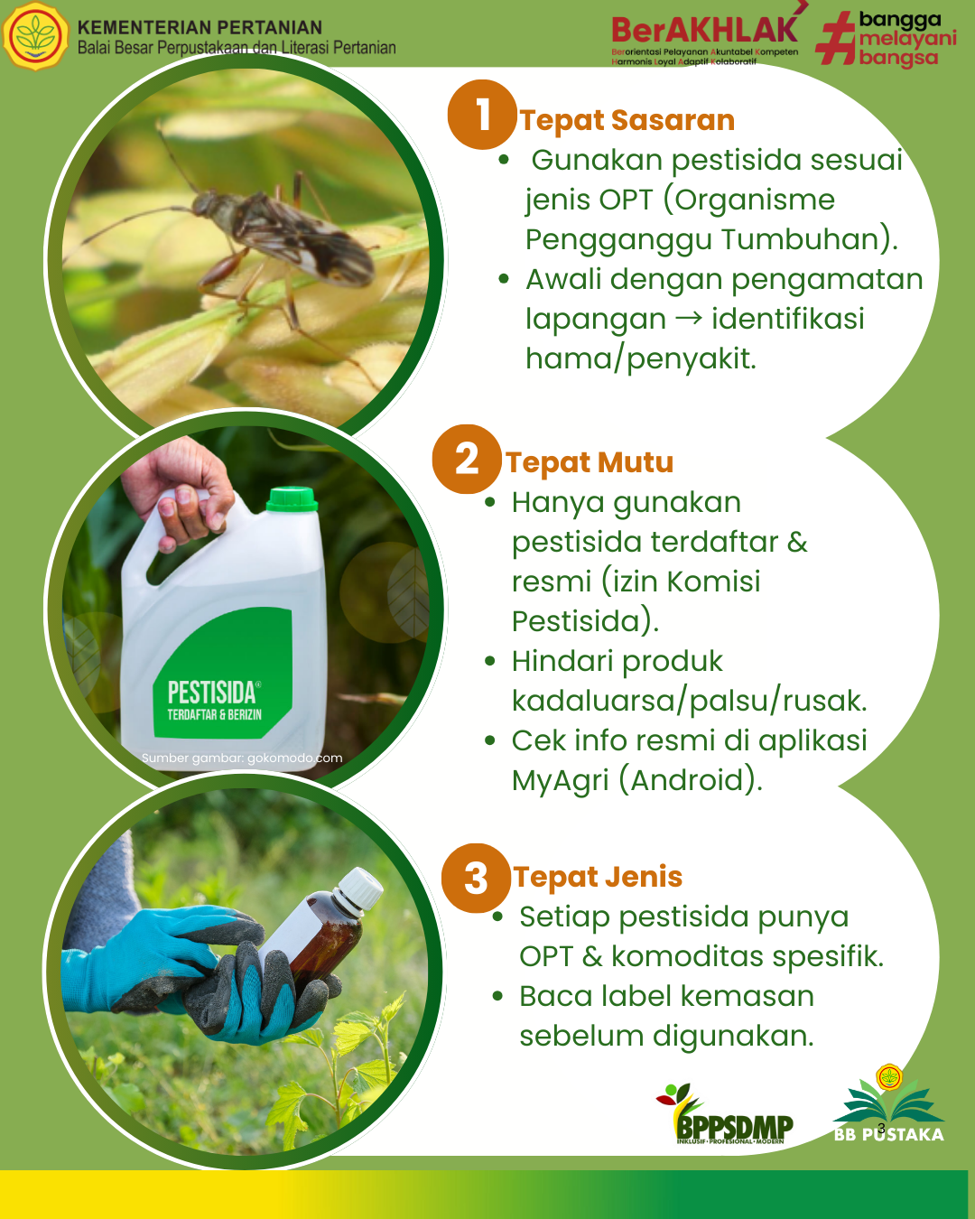 Info Literasi: 6 Tepat Pestisida untuk Keamanan Pangan dan Lingkungan